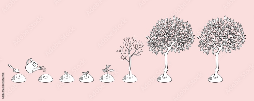 Vetor de Vector flat tree planting stages, symbols icon set. green tree ...