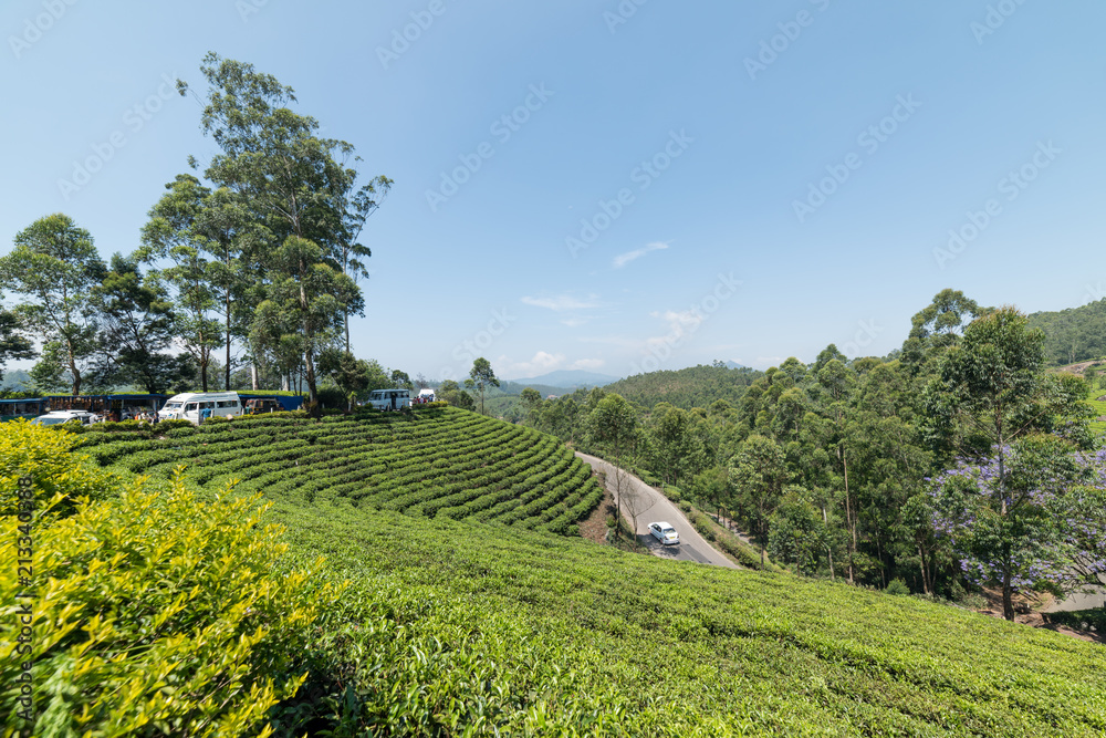 Fotka „asia,crops field,farm,green,hills and sky,india tourism,kerala ...