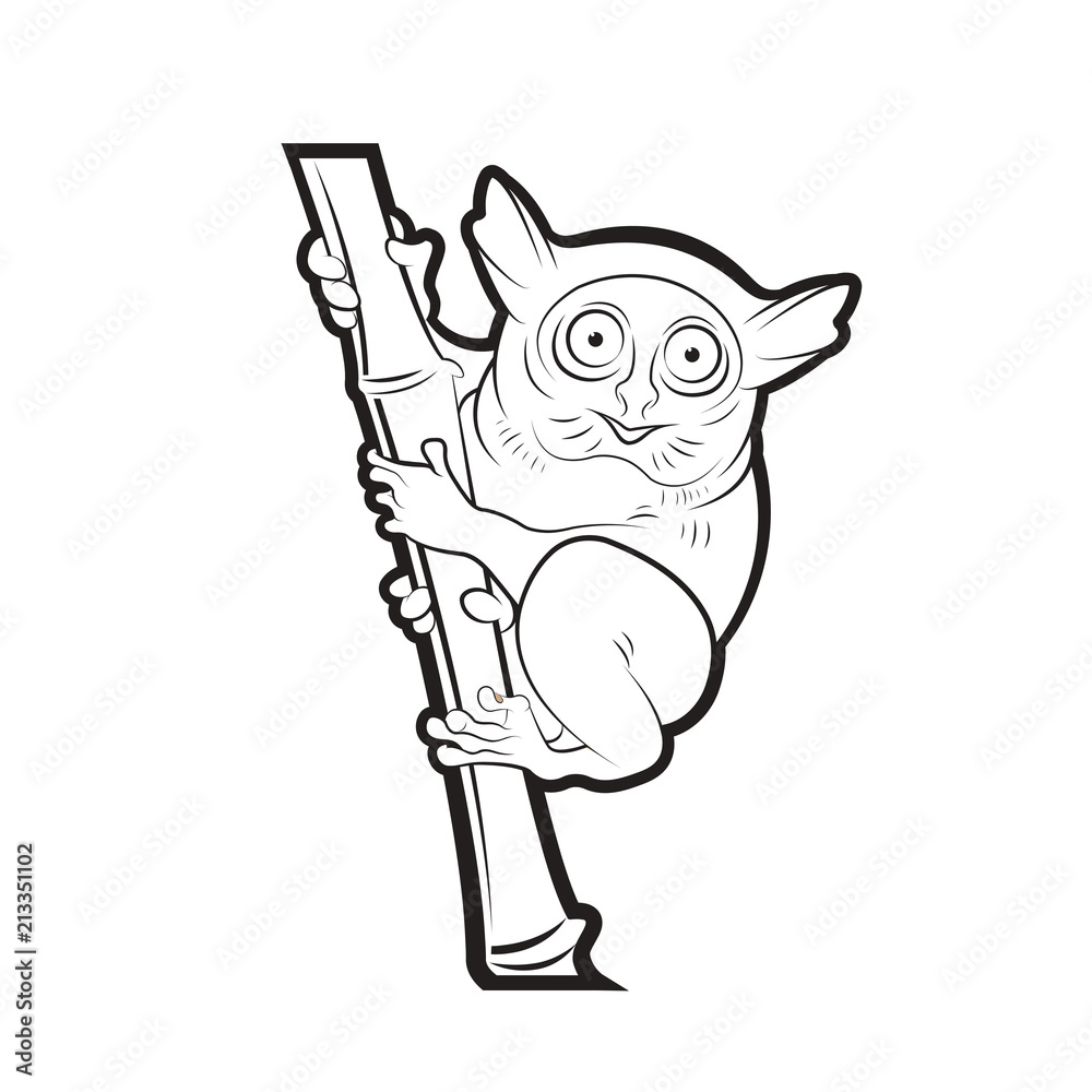 Tarsier Drawing