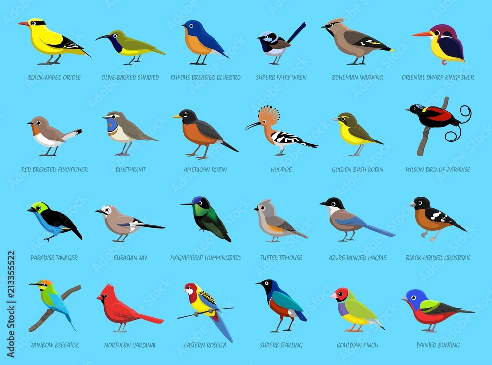 Colorful Little Birds Side View Cartoon Vector Illustration Stock ...