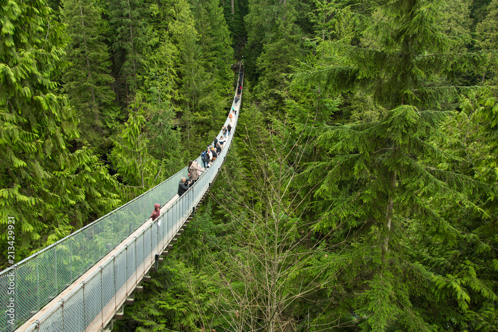 Capilano bridge Stock Photo | Adobe Stock