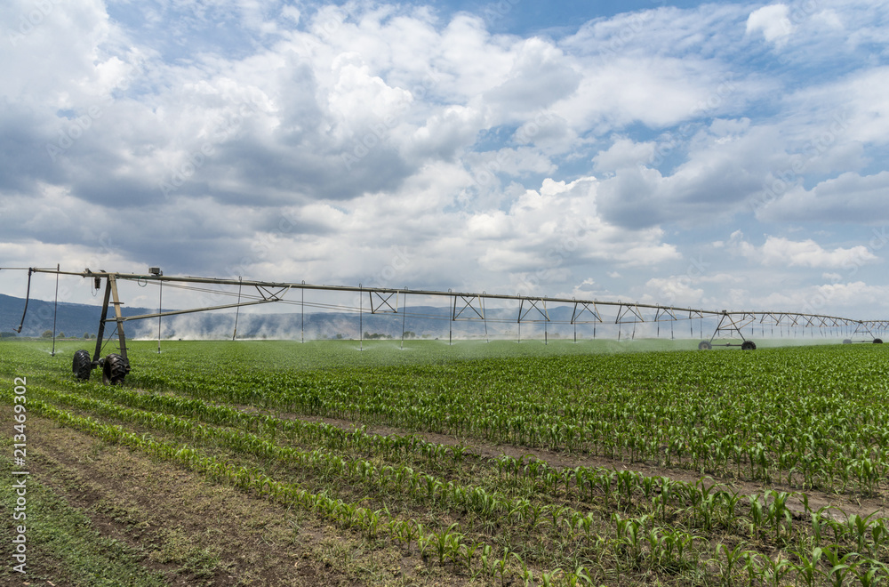 Lateral move irrigation system Stock Photo | Adobe Stock