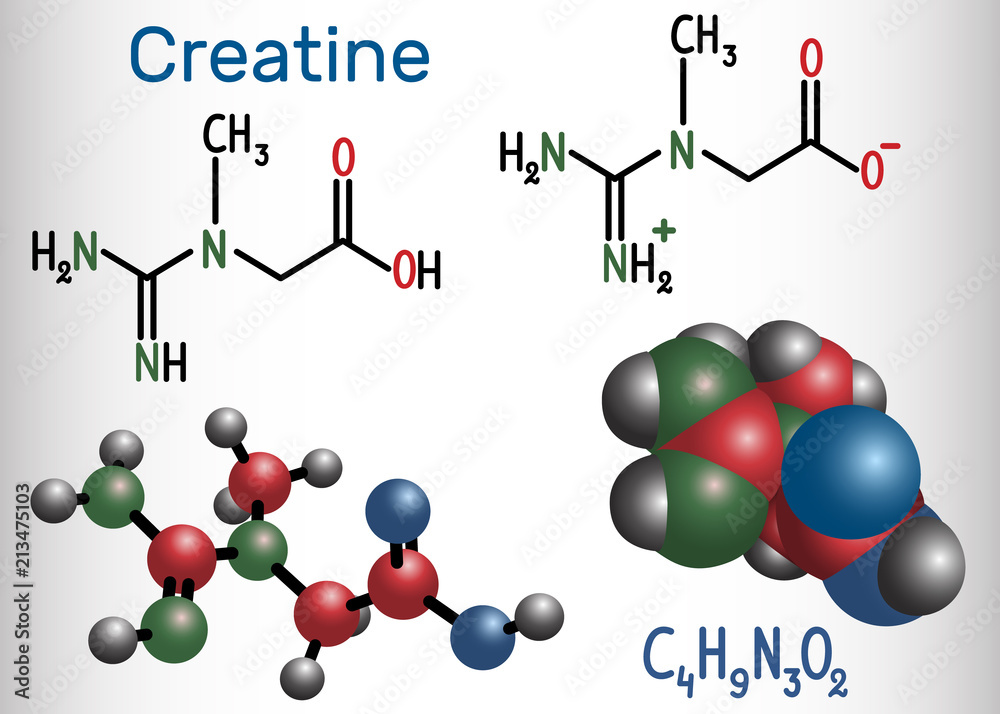 Creatine molecule. Structural chemical formula and molecule model Stock ...