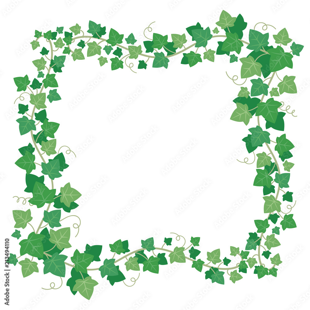 Green Leaves Vines Border