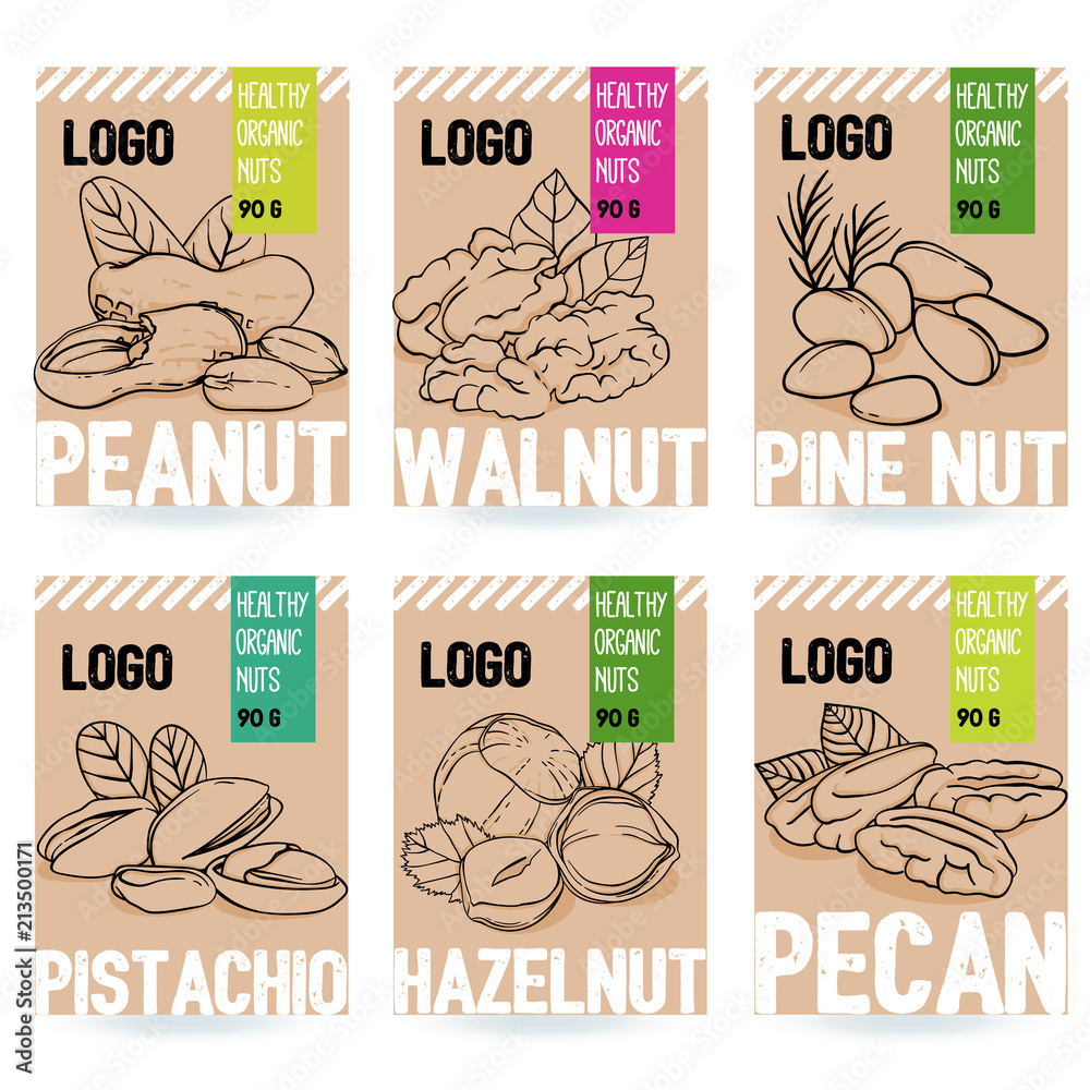 Beautiful vector hand drawn organic nut card set. Walnut, pine nut ...