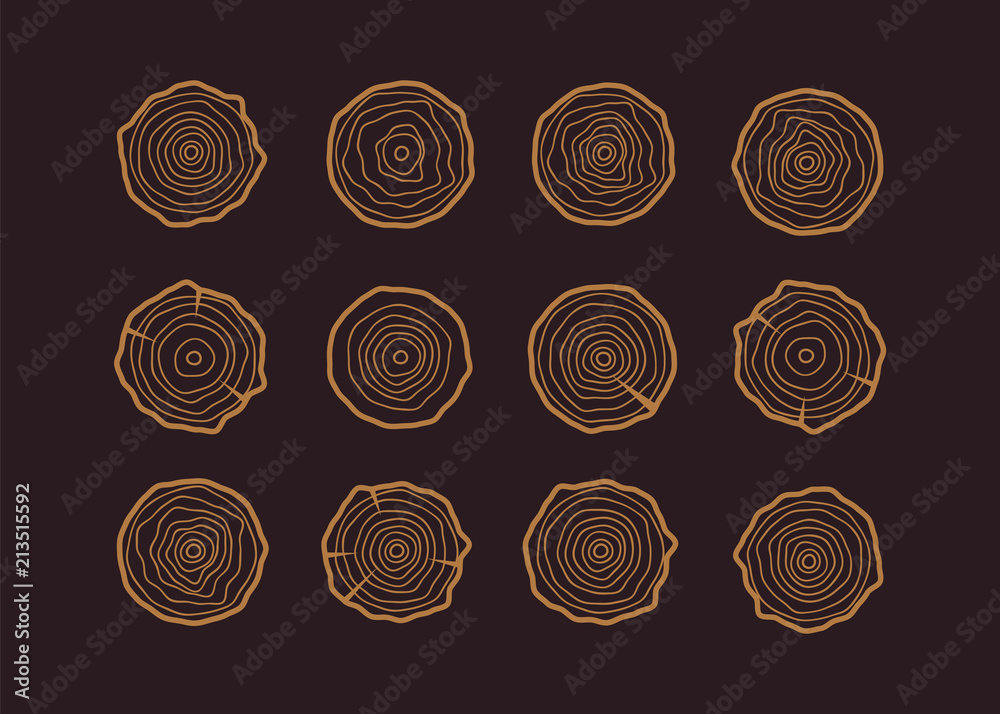Tree rings background. Saw cut tree trunk texture. Wood texture vector ...