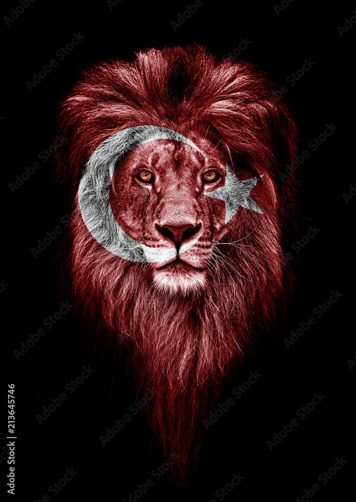 Lion And Turkey
