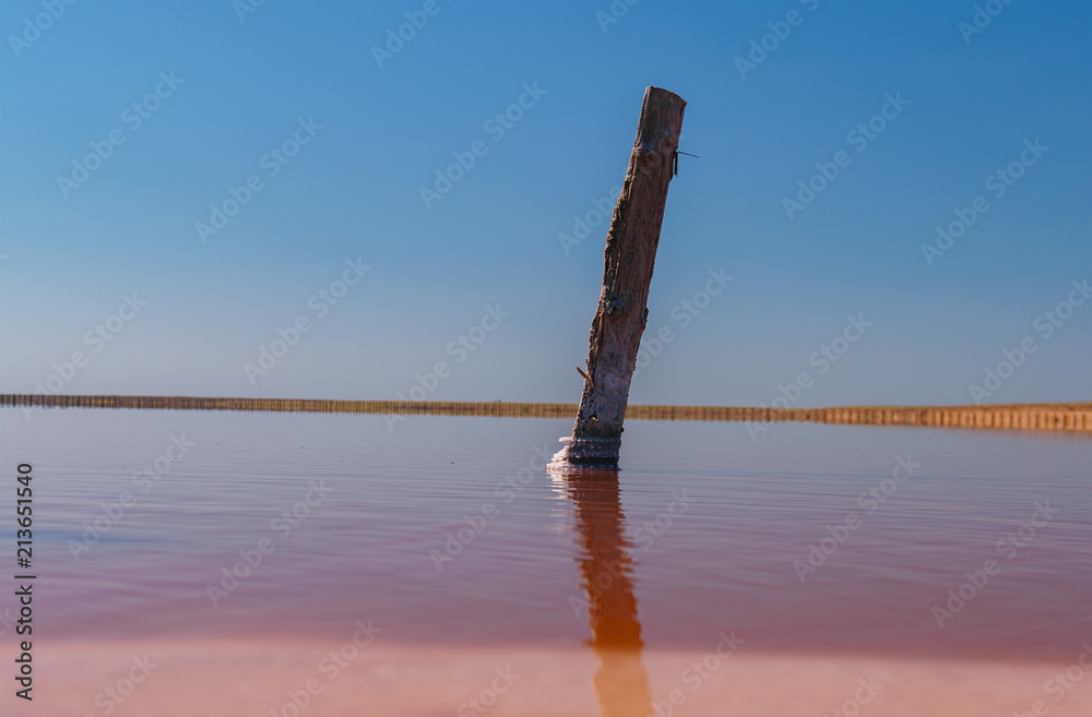 Salt sea water evaporation ponds with pink plankton colour Stock Photo ...