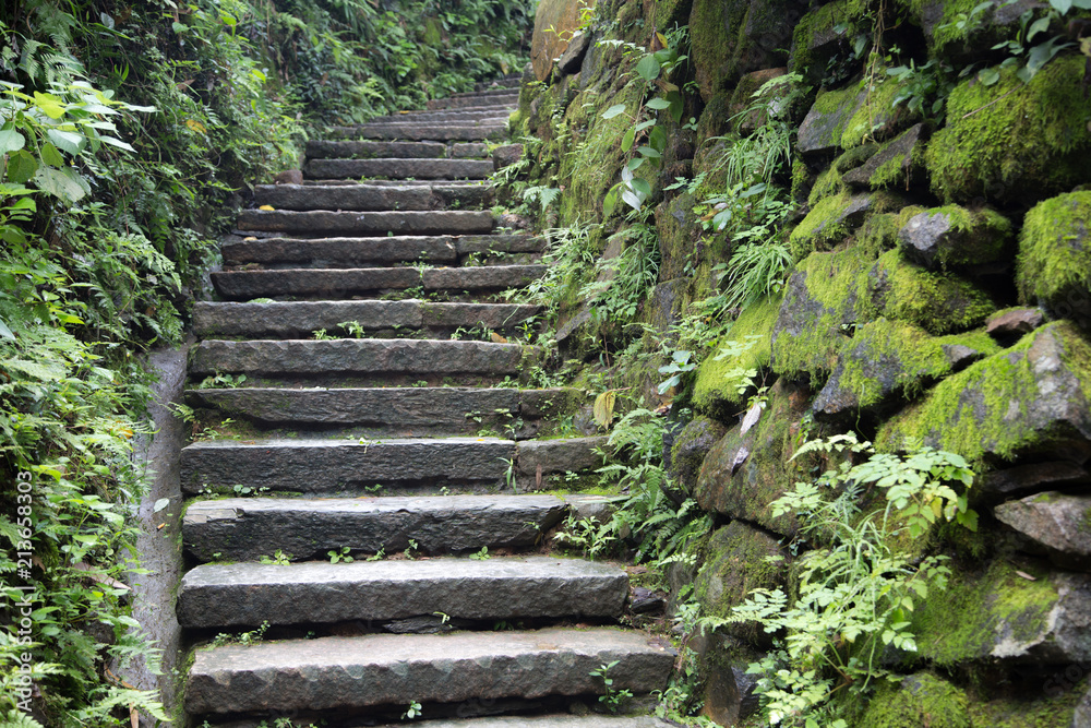 July 2018, Wuyuan, China. Walk way, Pathway, humidity, moss. Stone ...