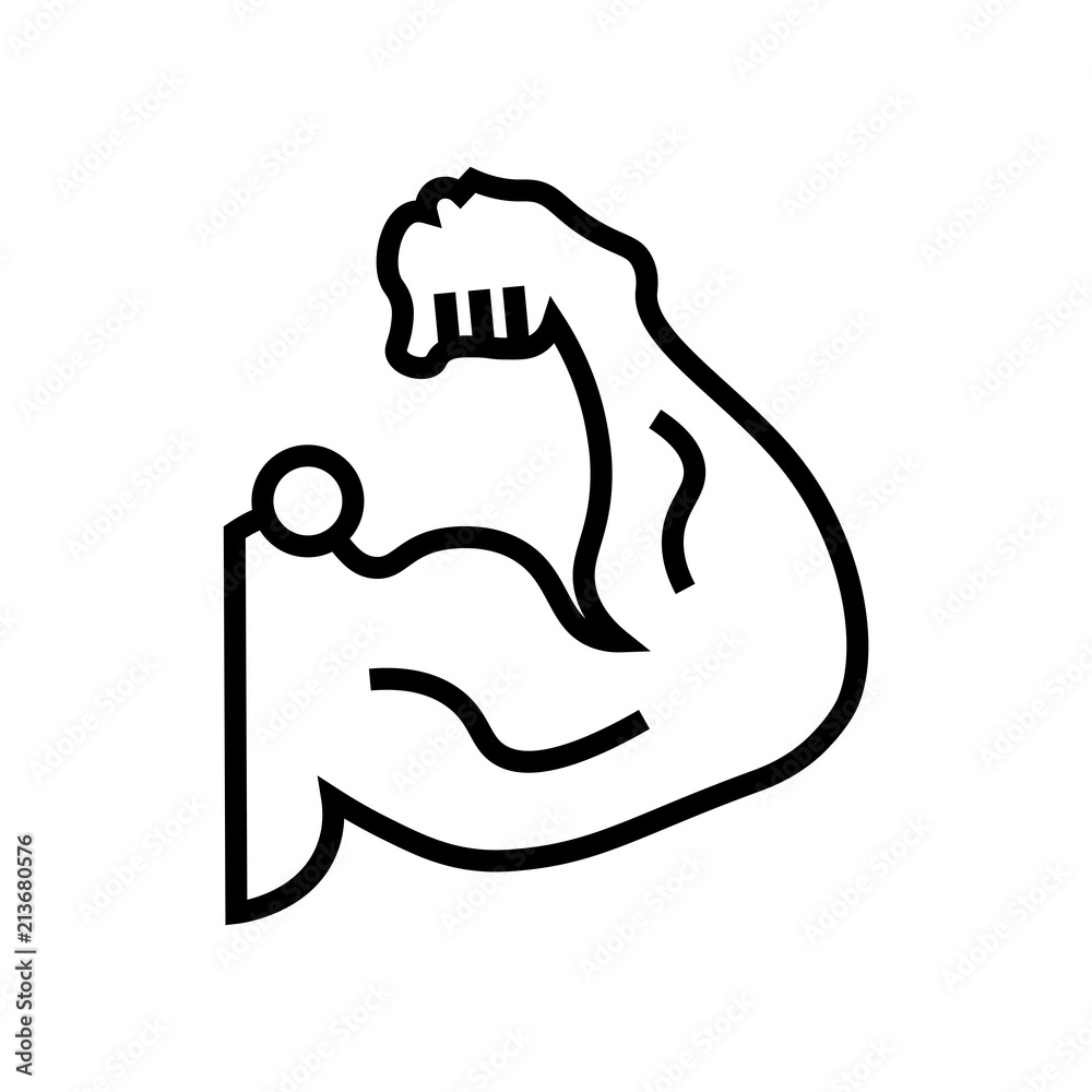 Muscle icon vector sign and symbol isolated on white background, Muscle ...
