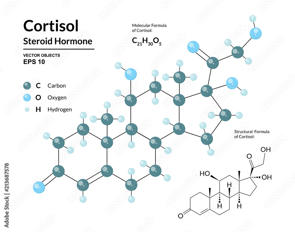 Cortisol Steroid Hormone Structural Chemical Molecular Formula And 3d