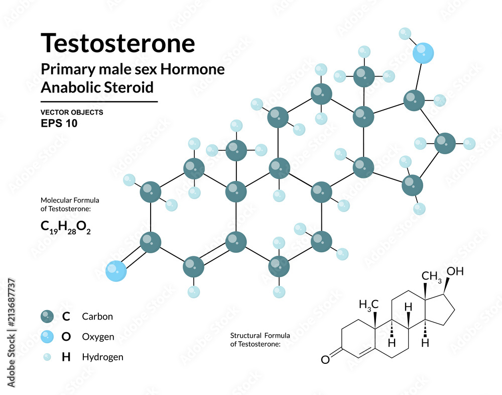 Testosterone Primary Male Sex Hormone Structural Chemical Molecular