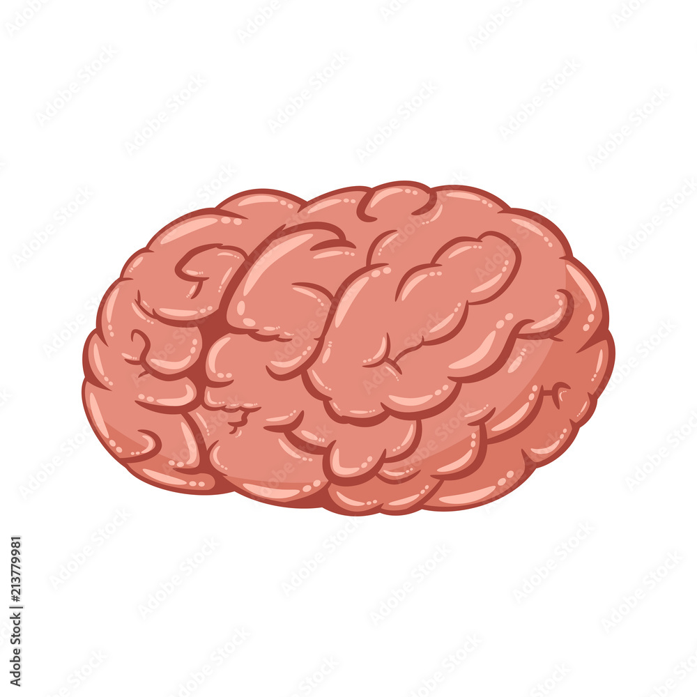 Human brain vector icon isolated on white background. Cartoon ...