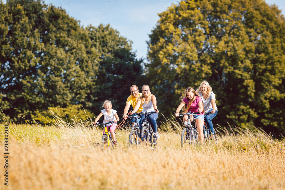 Family riding their bikes shot above a grain field in summer Stock ...