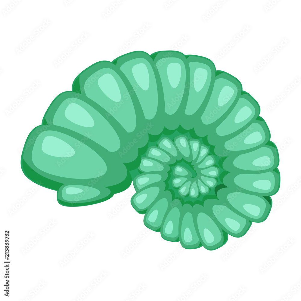 Animated Seashell