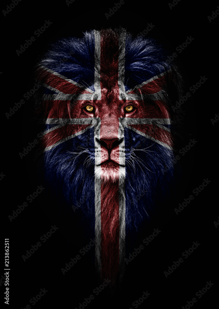 National animal of Great Britain. Portrait of a Beautiful lion, faceart ...