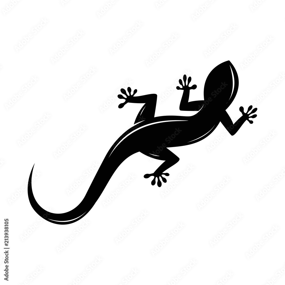 Lizard Silhouette