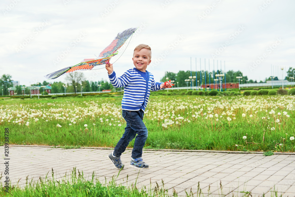 Kite Flying In Spring