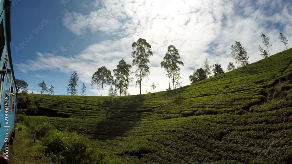 During the magic Ella - Colombo train trip in Sri Lanka you'll see a ...