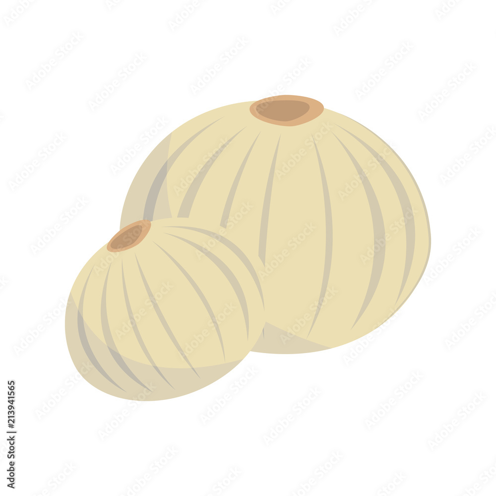 Vector dehydrated onion illustration isolated in cartoon style. Herbs ...