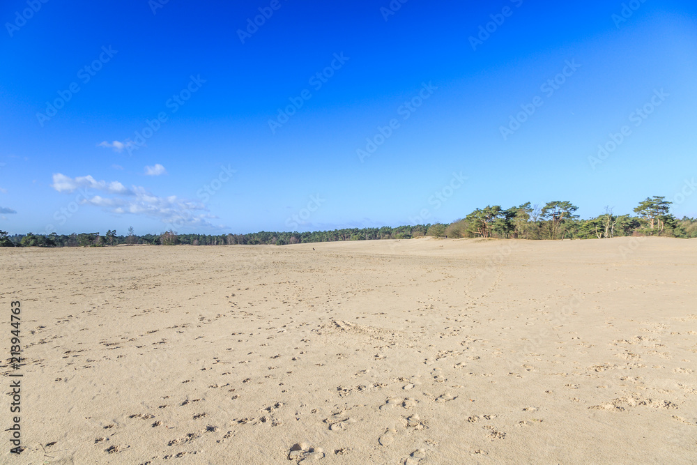 Landscape Soesterduinen in the Dutch province of Utrecht remnant of ...