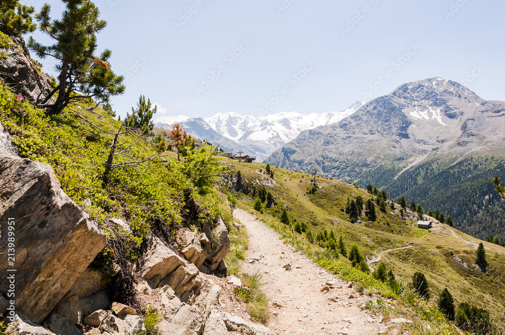 Pontresina, Piz Palü, Diavolezza, Persgletscher, Wanderwg, Panoramaweg ...