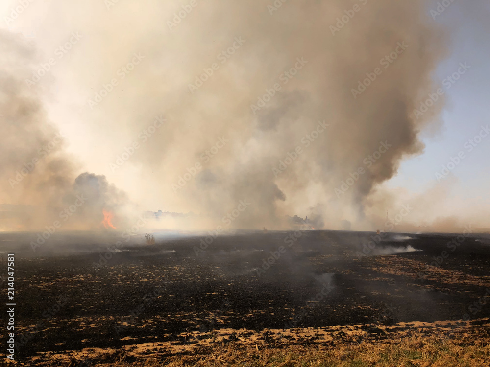 Fires in Israel that caused from burning kites and balloons that sent ...