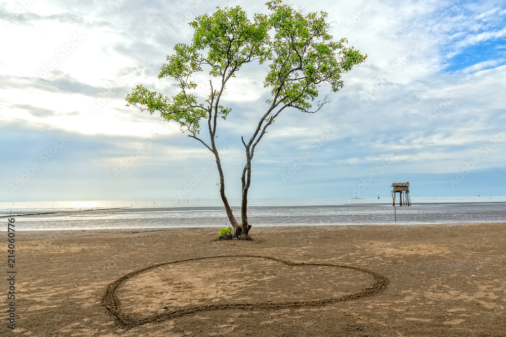 Dawn on the beach with mangrove trees growing on levees alone. These ...