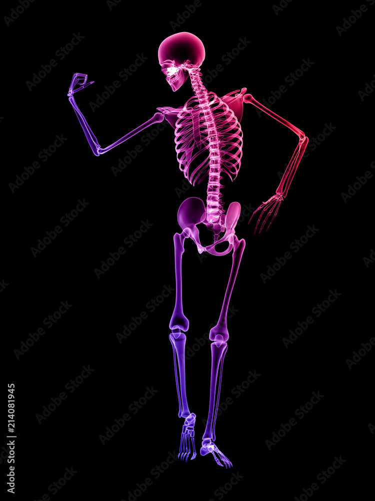 X RAY SKELETON 3D RENDER Stock Illustration | Adobe Stock
