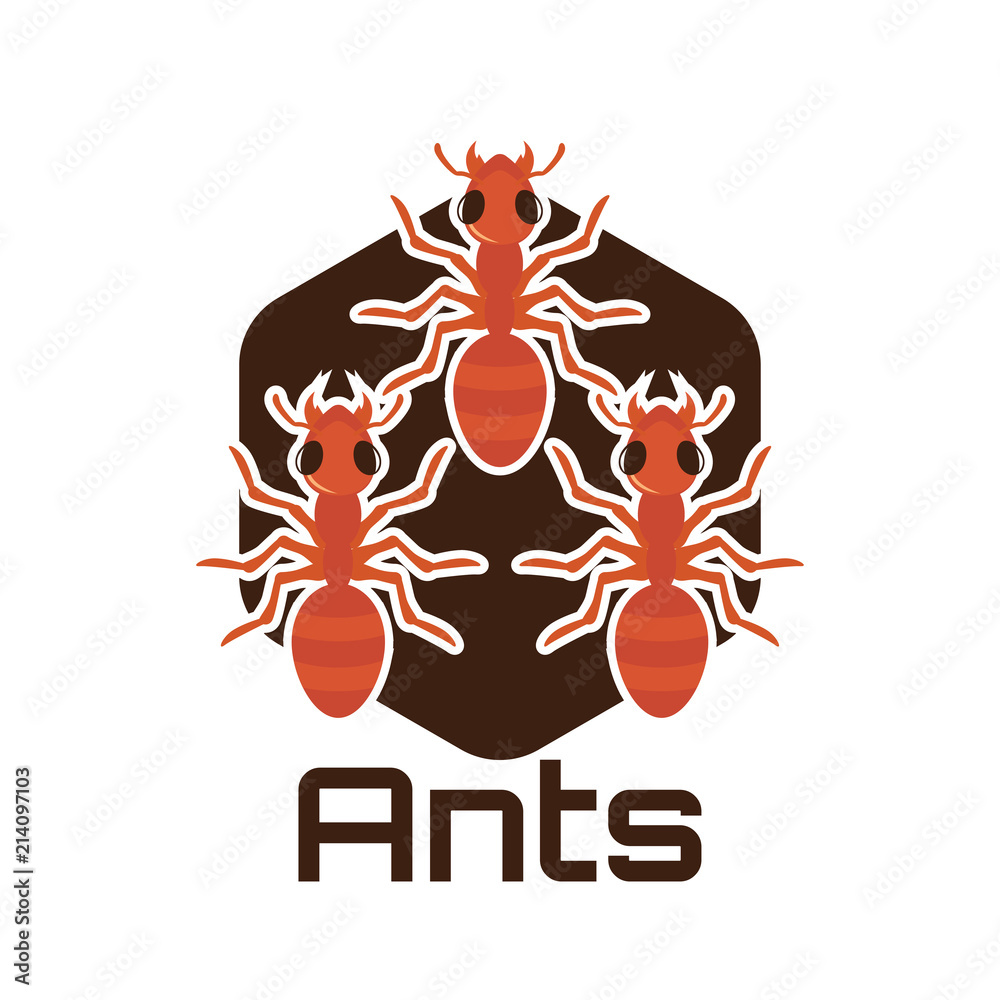 ants logo, vector illustration Stock Vector | Adobe Stock