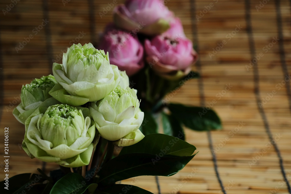 Set of lotus and green leaves in plastic cup and wet oasis on wood mat ...