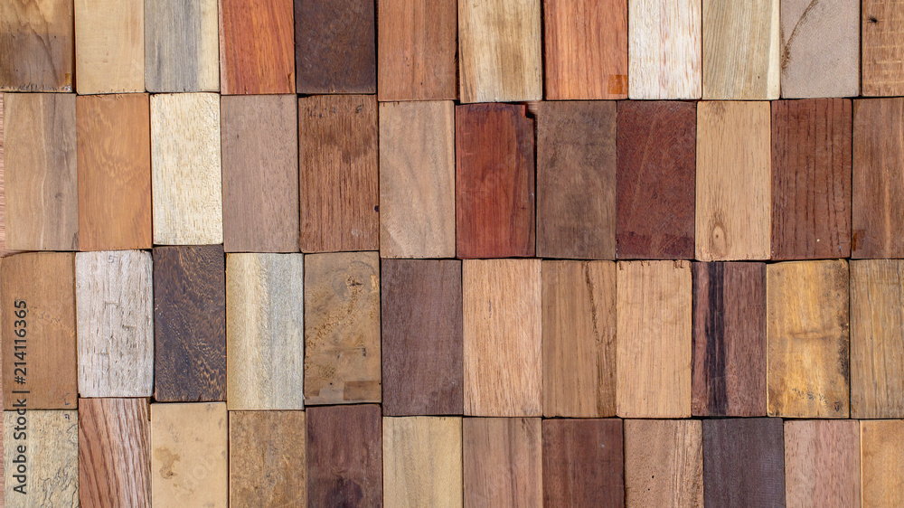 wood specimen from different tropical hardwood that grow in Indonesia ...