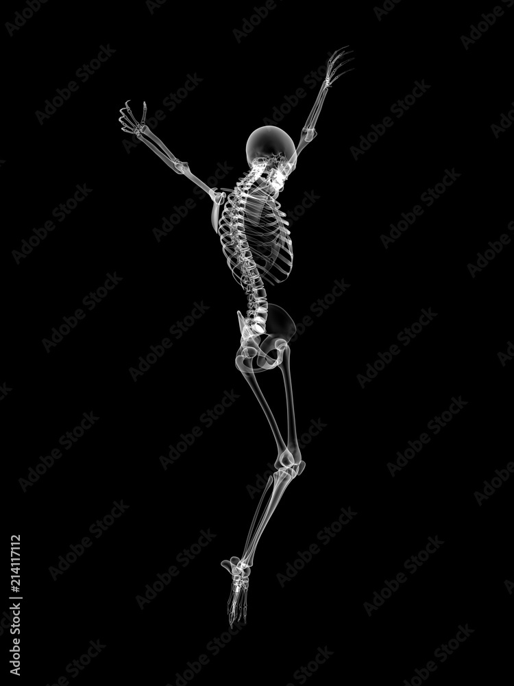 X RAY Skeleton 3D Render Stock Illustration | Adobe Stock