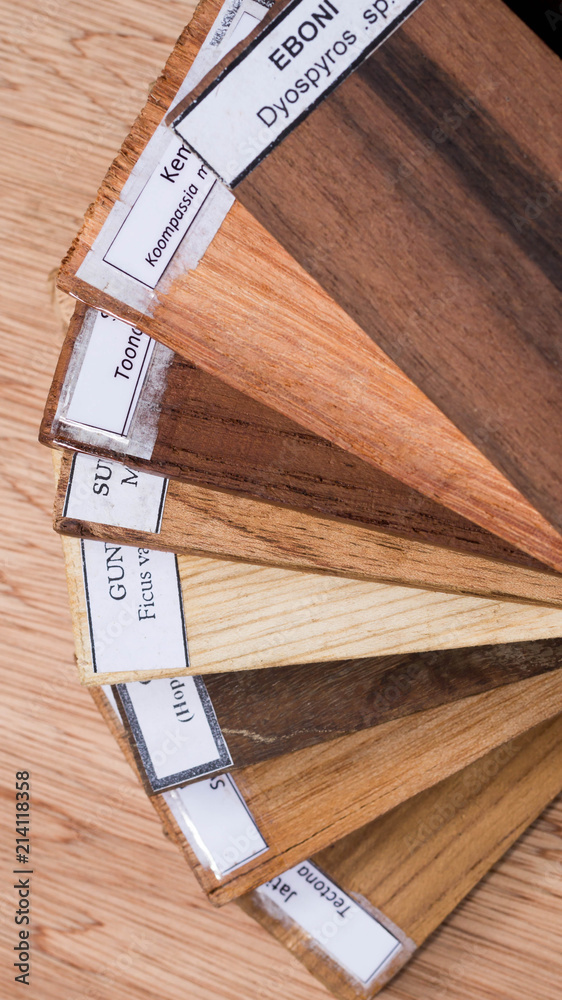 sample of different species of tropical hardwood that grow in Indonesia ...
