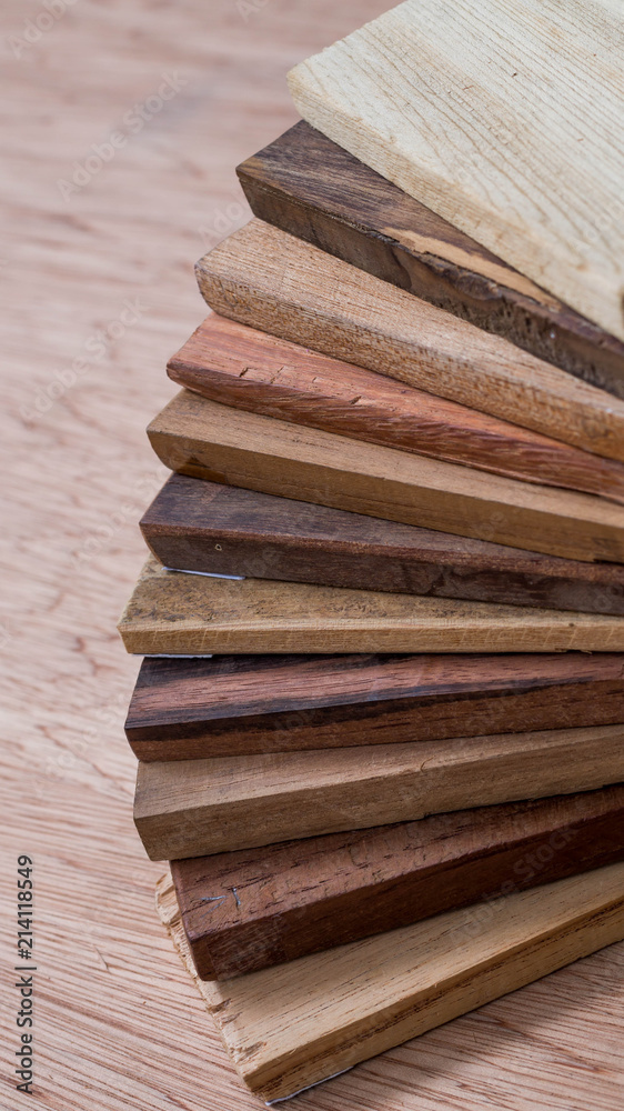 sample of different species of tropical hardwood that grow in Indonesia ...