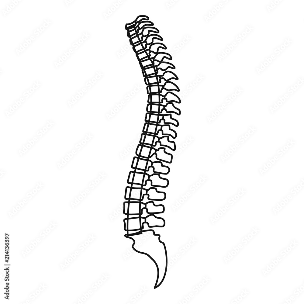 Spine icon. Outline spine vector icon for web design isolated on white ...