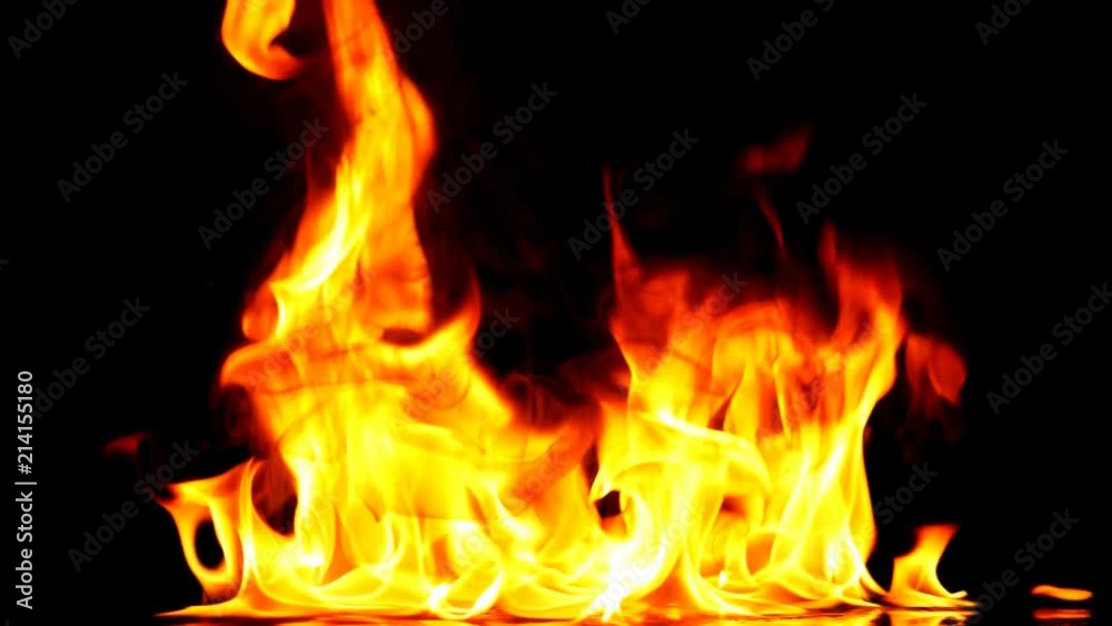Fire Flames Igniting And Burning - Slow Motion. A line of real flames ...