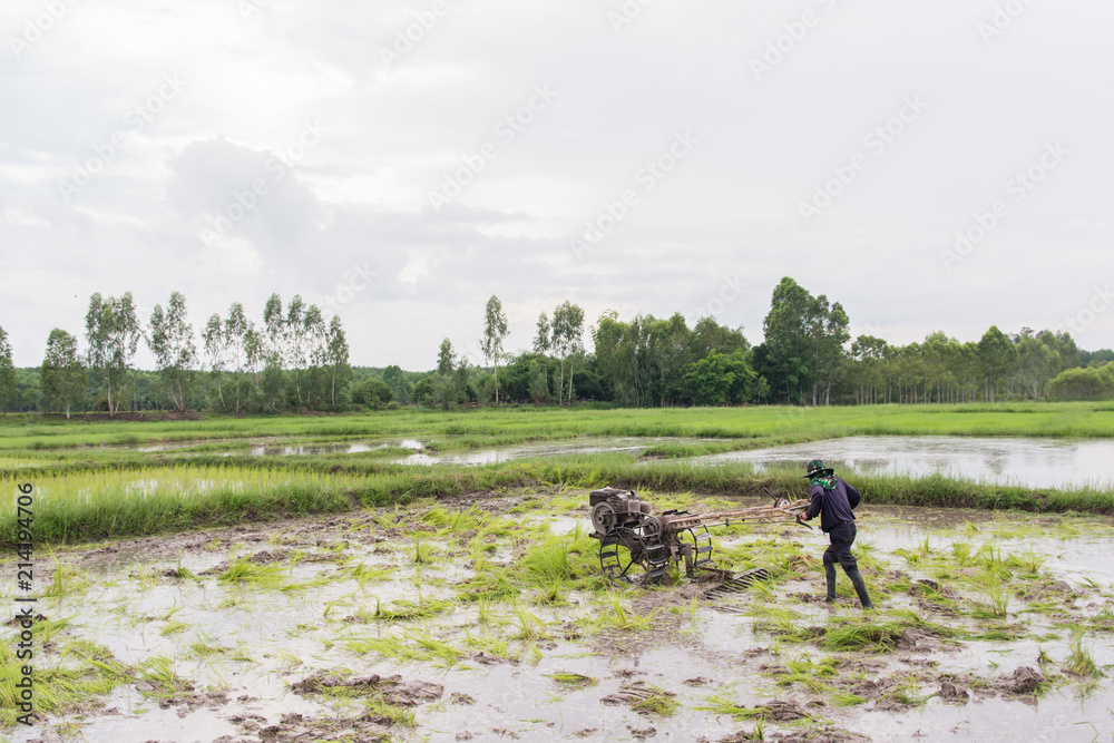 plows machine - Farmer using walking tractor plowing in rice field to ...
