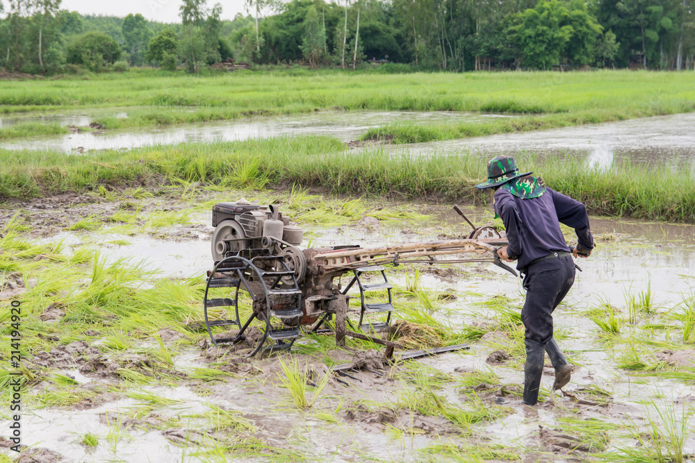 plows machine - Farmer using walking tractor plowing in rice field to ...