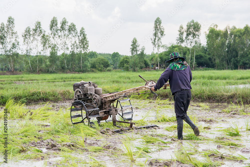 plows machine - Farmer using walking tractor plowing in rice field to ...