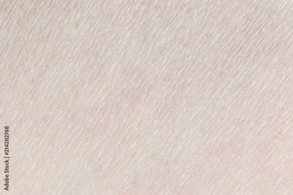 Pattern of human skin with cells and lines texture. Stock Photo | Adobe ...