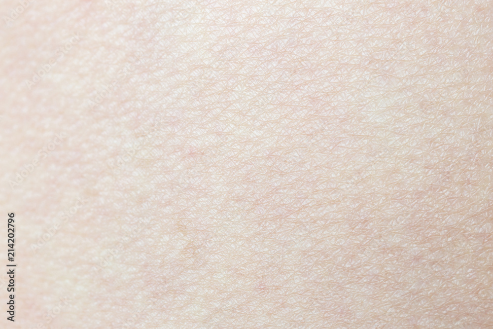 Pattern of human skin with cells and lines texture. Stock Photo | Adobe ...