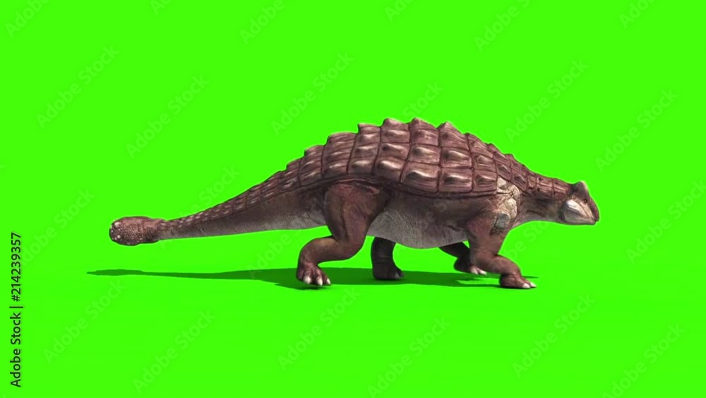 Ankylosaurus Dinosaurs Walk Loop Side 3D Animation Green Screen ...