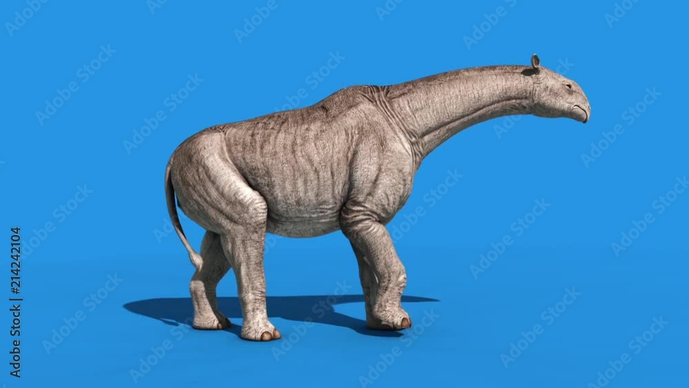 Paraceraterio Paraceratherium Wikipedia