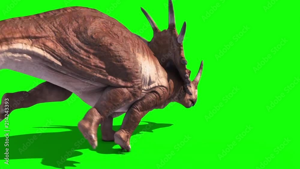 Styracosaurus Triceratops Run Back Static Loop Dinosaurs Jurassic Green ...