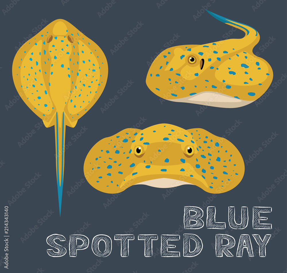 Blue Spotted Ray Cartoon Vector Illustration Stock Vector | Adobe Stock