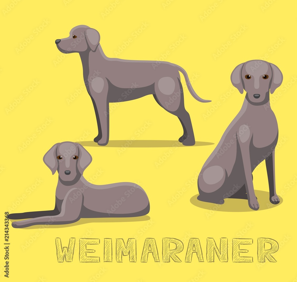 Dog Weimaraner Cartoon Vector Illustration Stock Vector | Adobe Stock