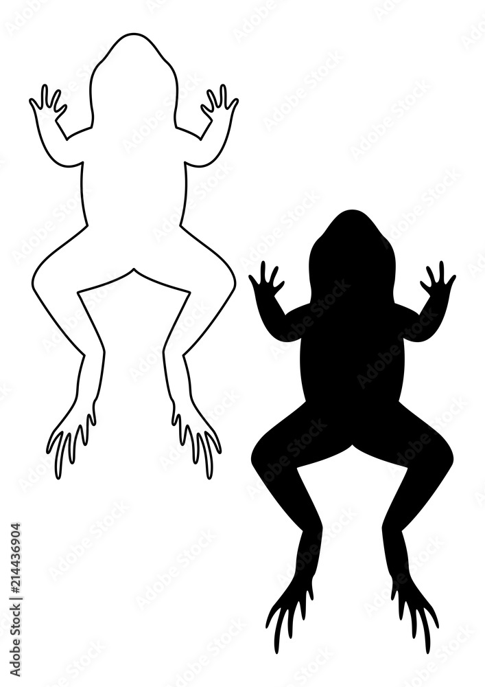 Frog silhouette. Frog on white background. Vector illustration. Stock ...