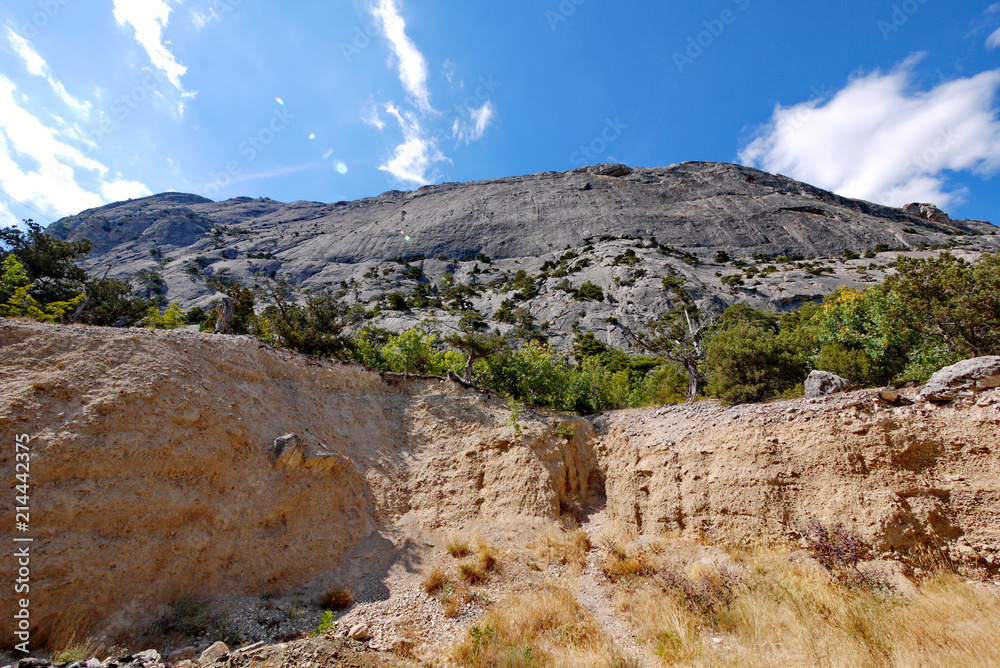 Elegant view of the mountain slope with scant vegetation rocky ...