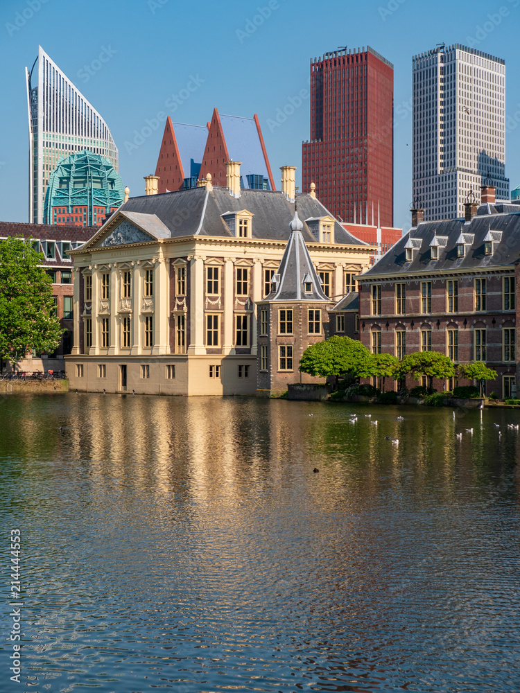 The Mauritshuis is an art museum in The Hague, Netherlands. The museum ...